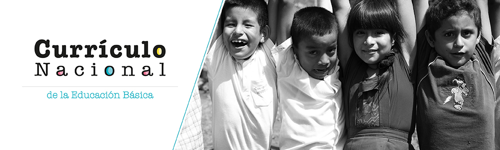12 temas clave para entender y analizar el nuevo Currículo Nacional por ...